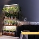 Plant Stand with Grow Light, 3 Tier Metal Plant Stand for Plants ...