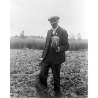 George Washington Carver /N(18641943). American Botanist Chemist And ...
