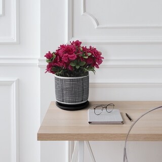 Succulent Flower Pots 6 Inch Mesh Ceramic Planter with Draining Holes ...