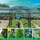 Garden Arch Trellis for Climbing Plants, Large Arch Arbor Trellis - Bed ...