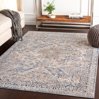 Klimentina Grey Traditional Area Rug - 8'10" x 12' - Bed Bath & Beyond ...