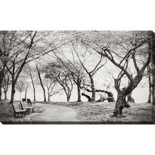 "Path Walk" Print on Canvas - Bed Bath & Beyond - 36038350