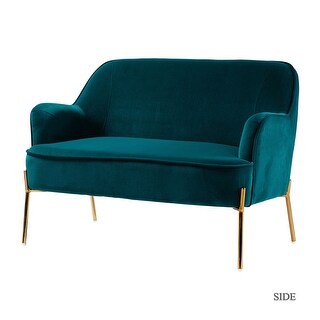 Contemporary and Classic Velvet Fabric Padded Seat Loveseat Living Room ...