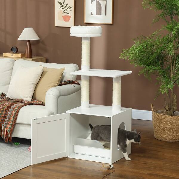 cat climbing boxes