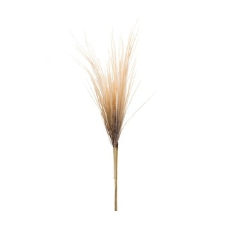 Grass Plume Bundle (Set of 2) - Bed Bath & Beyond - 43819273