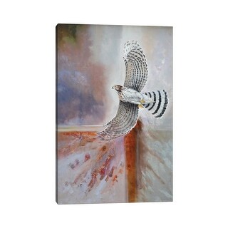 iCanvas "Hawk" by Grant Hacking Canvas Print - Bed Bath & Beyond - 35598767