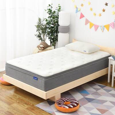 10 Inch Individually Pocket Spring Pillowtop Mattress - Overstock ...