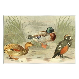 Stupell Various Ducks by Pond Wall Plaque Art Design By Gail Fraser ...
