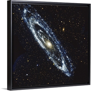 "Andromeda Galaxy" Black Float Frame Canvas Art - Bed Bath & Beyond ...