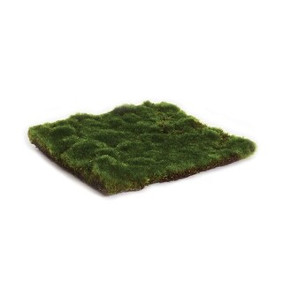 Moss Sheet Square 7" - Bed Bath & Beyond - 39767030