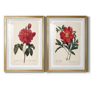 Red Botanical III Premium Framed Print - Ready to Hang - Bed Bath ...