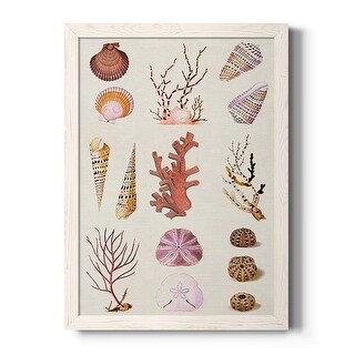 Coral & Shell Collage II-Premium Framed Canvas - Ready to Hang - Bed ...
