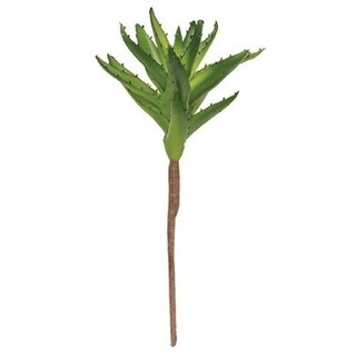Tropical Agave Stem - 10" high by 3" wide. - Bed Bath & Beyond - 33089414