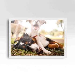27x19 White Picture Frame - Wood Picture Frame Complete with UV - Bed ...