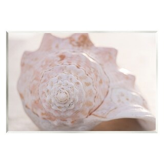 Stupell Beach Life Conch Shell Photography Wall Plaque Art by Elena Ray ...