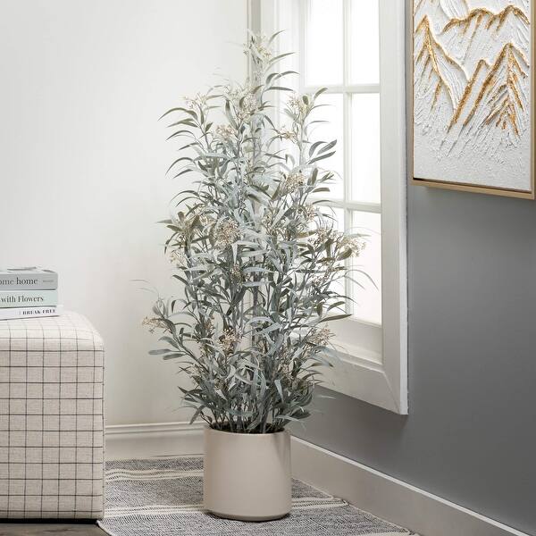 potted eucalyptus tree