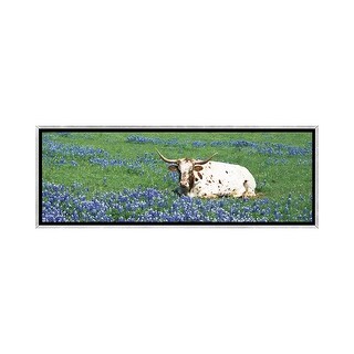 iCanvas "Texas Longhorn Cow Sitting on A FieldHill County, Texas, USA ...