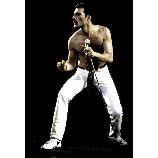 Freddie Mercury performing on stage with Queen Photo Print - Bed Bath ...