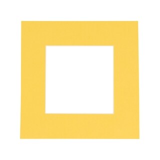20x20 Mat Bevel Cut for 8x8 Photos - Acid Free Chamois Yellow Precut ...