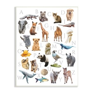 Stupell Traditional ABC Alphabet Animals of the World Wood Wall Art ...