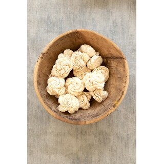 Set of 12 Dried Shell Flowers - Bed Bath & Beyond - 35347335