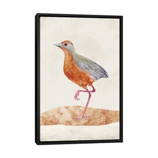 iCanvas "Russet-Crowned Crake - Rusty Colored Bird" by Andreea Dumez ...