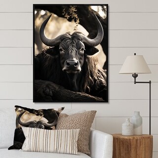 Designart "Grey Buffalo Serenity In Shadows" Animals Bison Framed ...