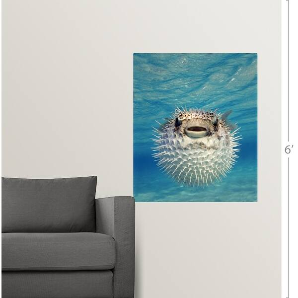 "Puffer Fish Bahamas" Poster Print - Bed Bath & Beyond - 16874775