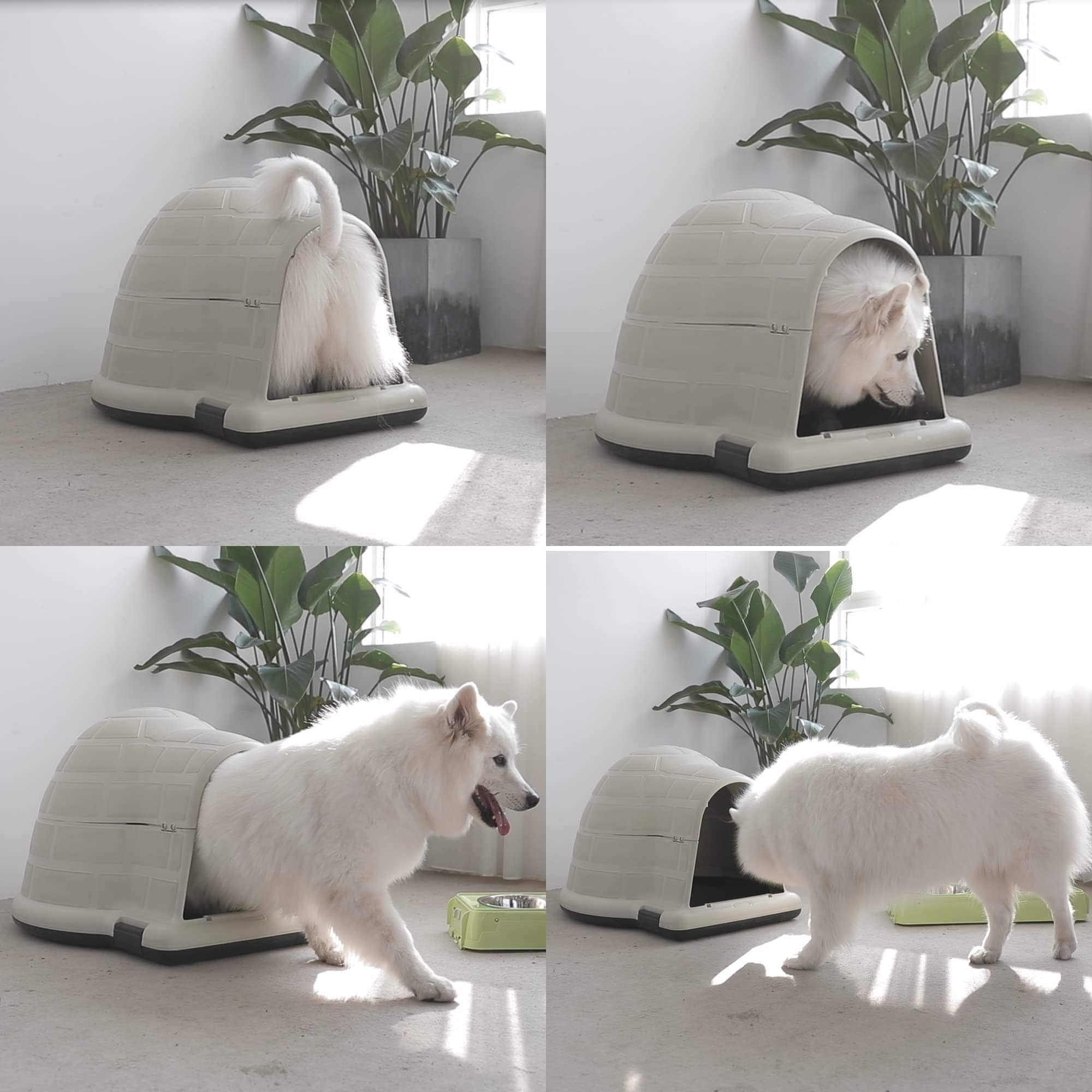 dog igloo plastic