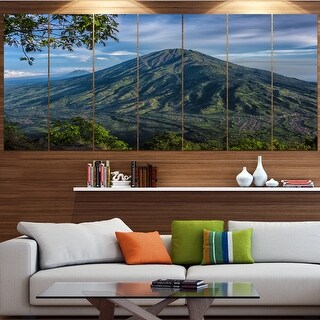 Designart "Merbabu Volcano in Java" Landscape Wall Artwork - Bed Bath ...