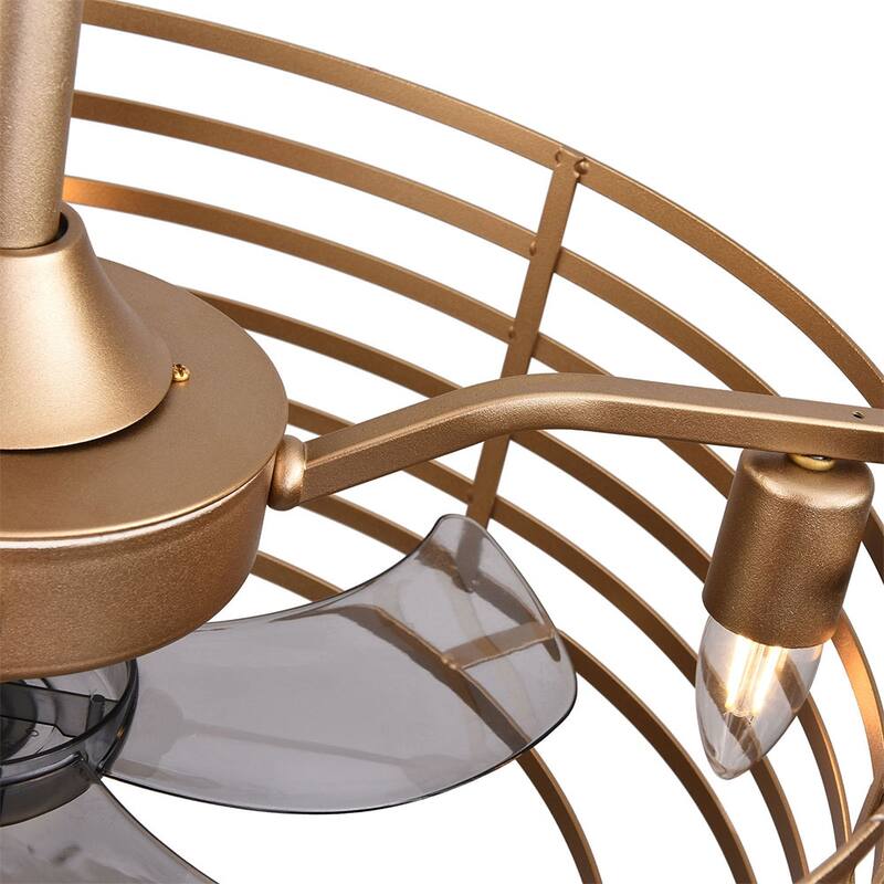 20" Matte Gold Modern Caged Ceiling Fan With Light Invisible Blades ...