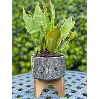 Mid-Century 5" Pinwheel Ceramic Planter on Wood Stand,Glass Charcoal ...