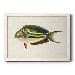 Tropical Fish Collection I-Premium Framed Canvas - Ready to Hang - Bed ...