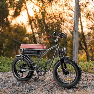 Electric Bike for Adults, Fat Tire Electric Bicycle with 7 Speeds - Bed ...