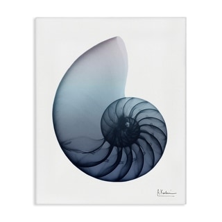 Stupell Contemporary Nautilus Shell Canvas Wall Art Design by Albert ...