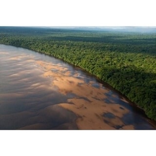 Essequibo River Between The Orinoco And Amazon Iwokrama Reserve Guyana ...