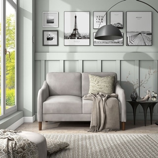 DH BASIC Modern 52-inch Velvet Upholstered Loveseat with Cushions - Bed ...