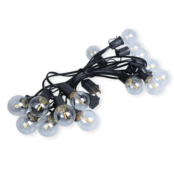 LEDPAX 50-Light 50 ft. Indoor and Outdoor LED String Light, Black - 50 ...