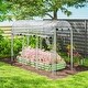 Outsunny Walk-in Tunnel Greenhouse, 10' x 3' x 6.5' Hoop House ...