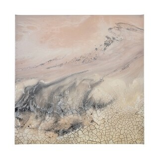 Dry Spell I (41 x 41) Canvas Art Print - Bed Bath & Beyond - 39214295