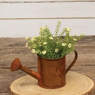 Rustic Tin Metal Watering Can with Flat Base and Rusted Finish - Bed ...