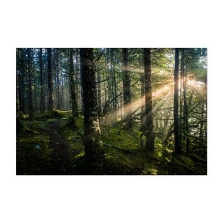 Juneau Alaska Rays Of Sunlight Photography Nature Art Print/Poster ...