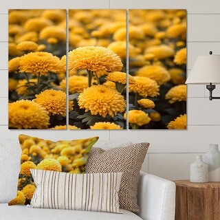 Designart "Yellow Mums In Bloom II" Floral Wall Art Living Room Set ...