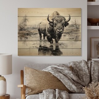 Designart "Bison Bison Reflections I" Animals Print on Natural Pine ...