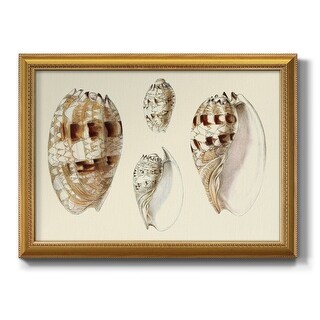 Splendid Shells VIII Premium Framed Canvas- Ready to Hang - Bed Bath ...