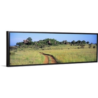 "Simba Kopjes and Road Serengeti Tanzania Africa" Black Float Frame ...