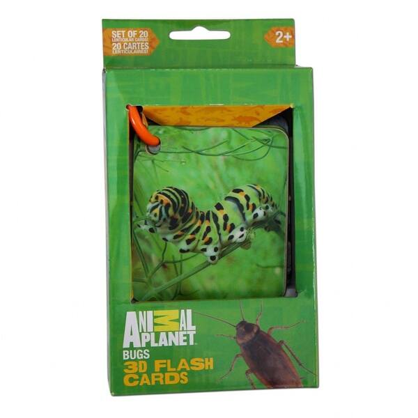 Smart Play Animal Planet Bugs & Insects 3-D Flash Cards - 20 Cards ...