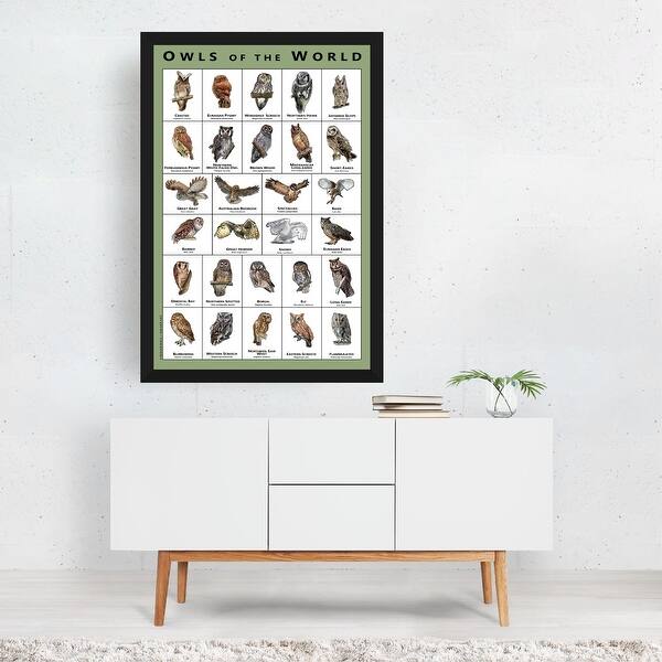 Owls of the World Poster Field Guide Illustrations Art Print/Poster ...