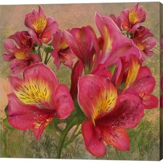 Anthony Christou 'Pink Orchid Bloom 2' Canvas Art - Bed Bath & Beyond ...