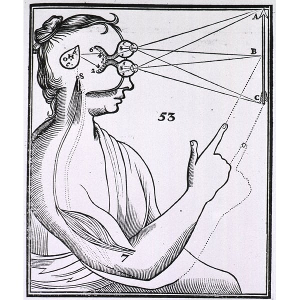 An Illustration Showing A Theory Of Vision From Rene Descartes De ...